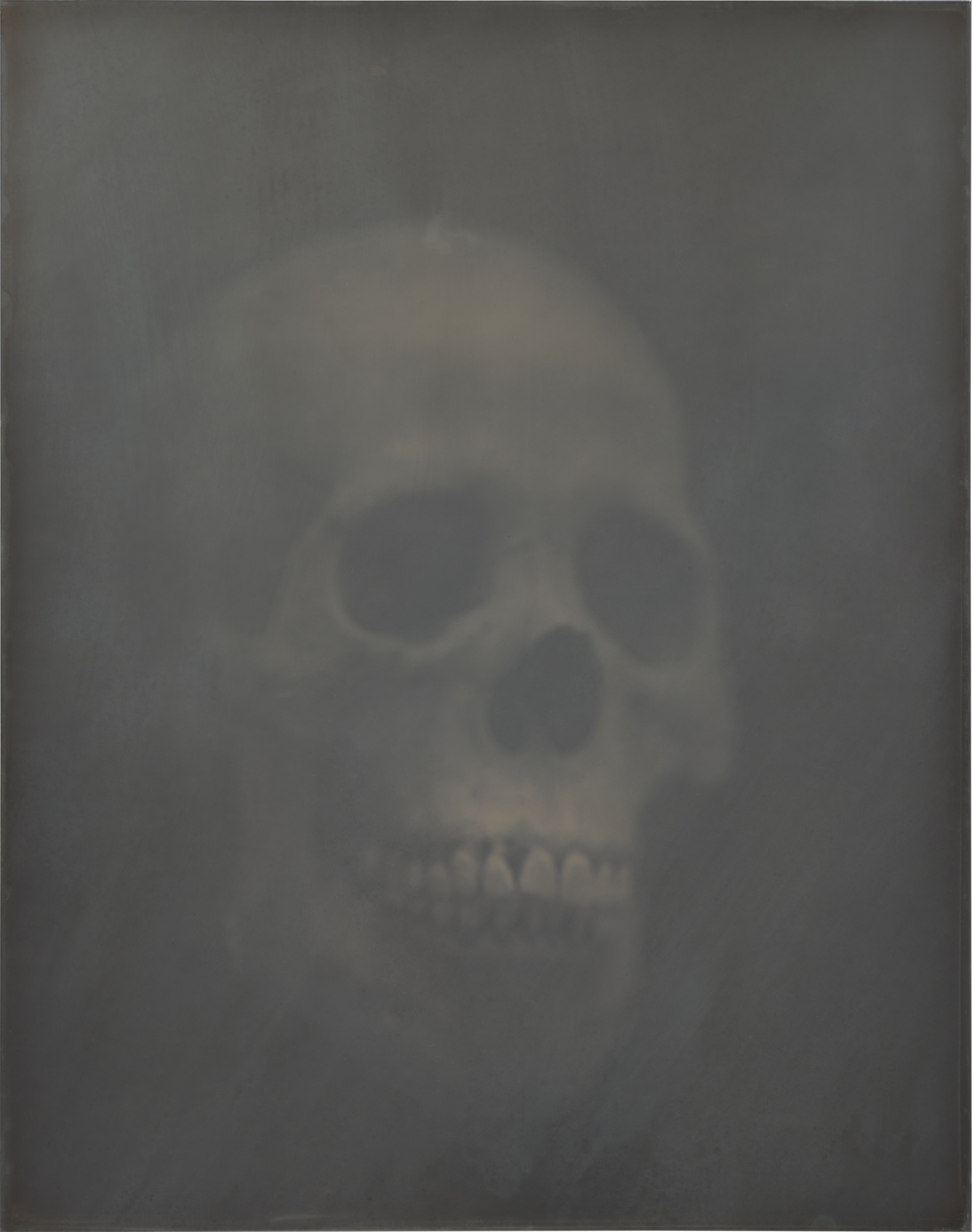 Adam Fuss | ARK (2005) | MutualArt