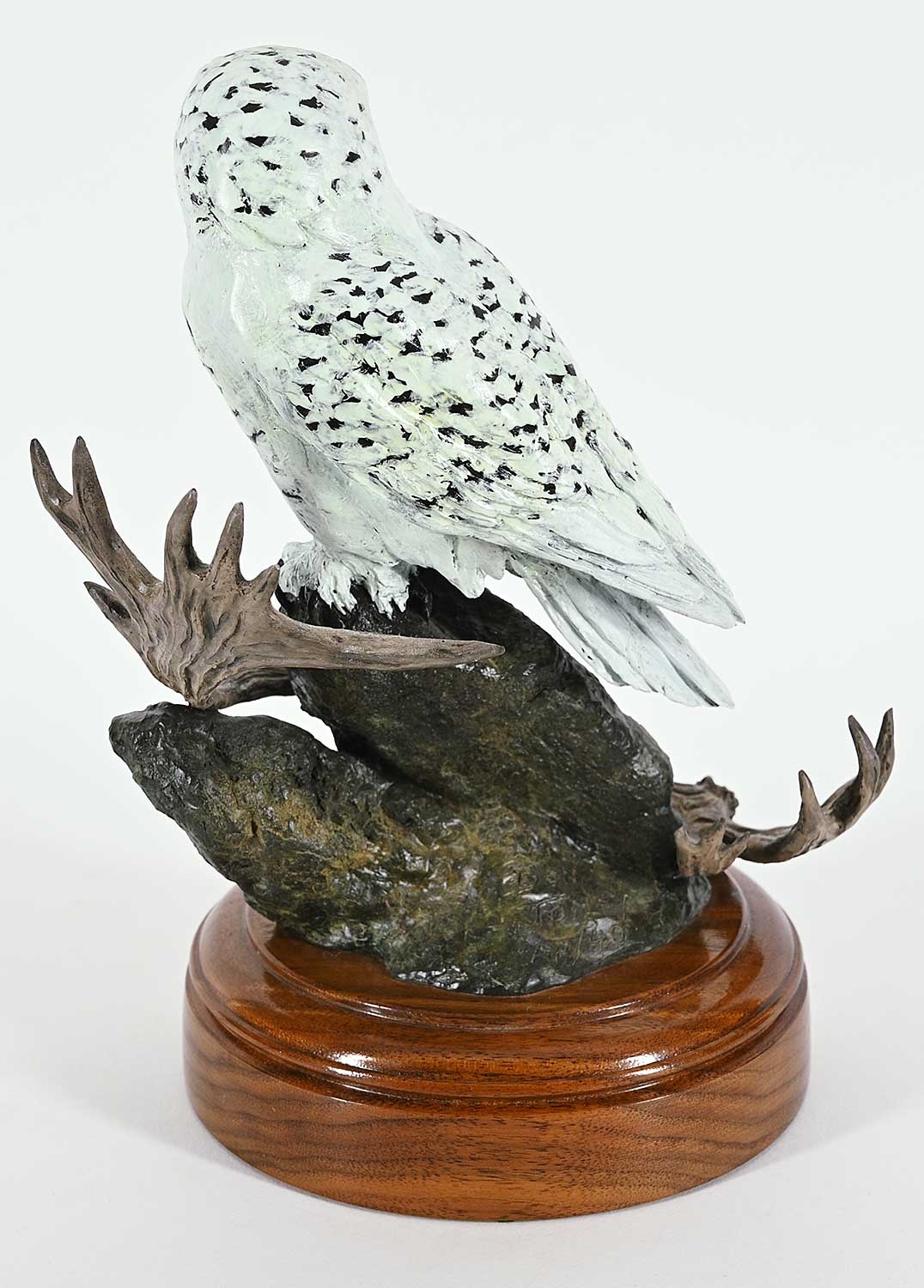 Don Toney | Ghost of the Tundra #AP/40 (1993) | MutualArt
