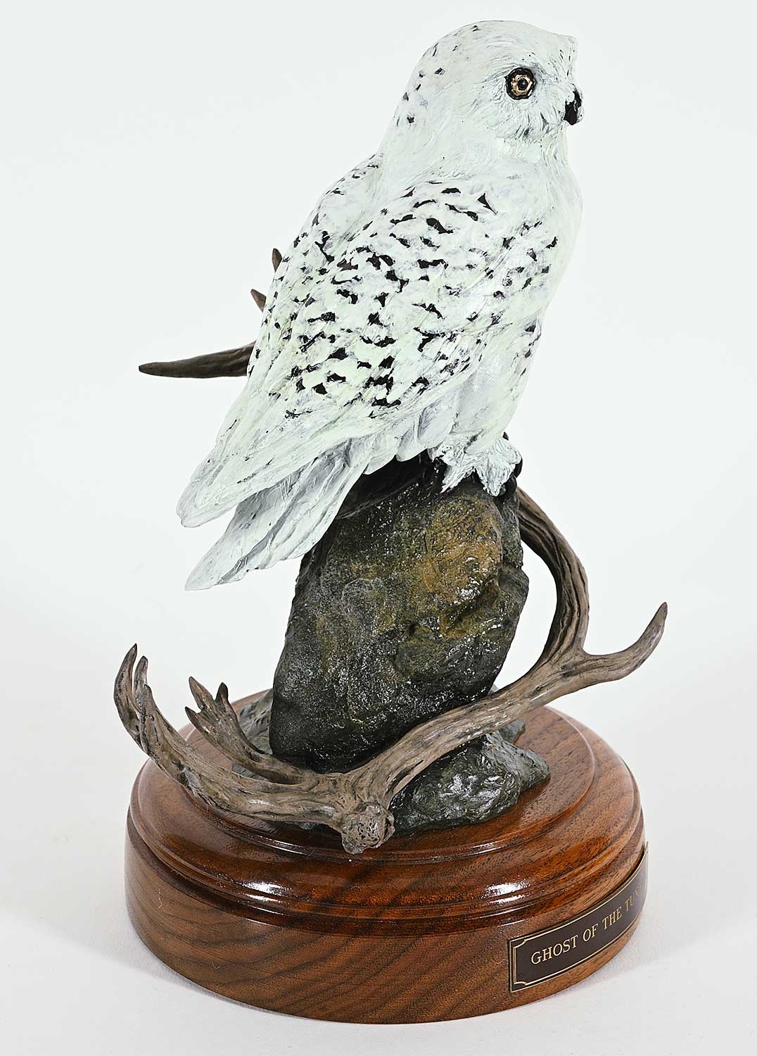 Don Toney | Ghost of the Tundra #AP/40 (1993) | MutualArt