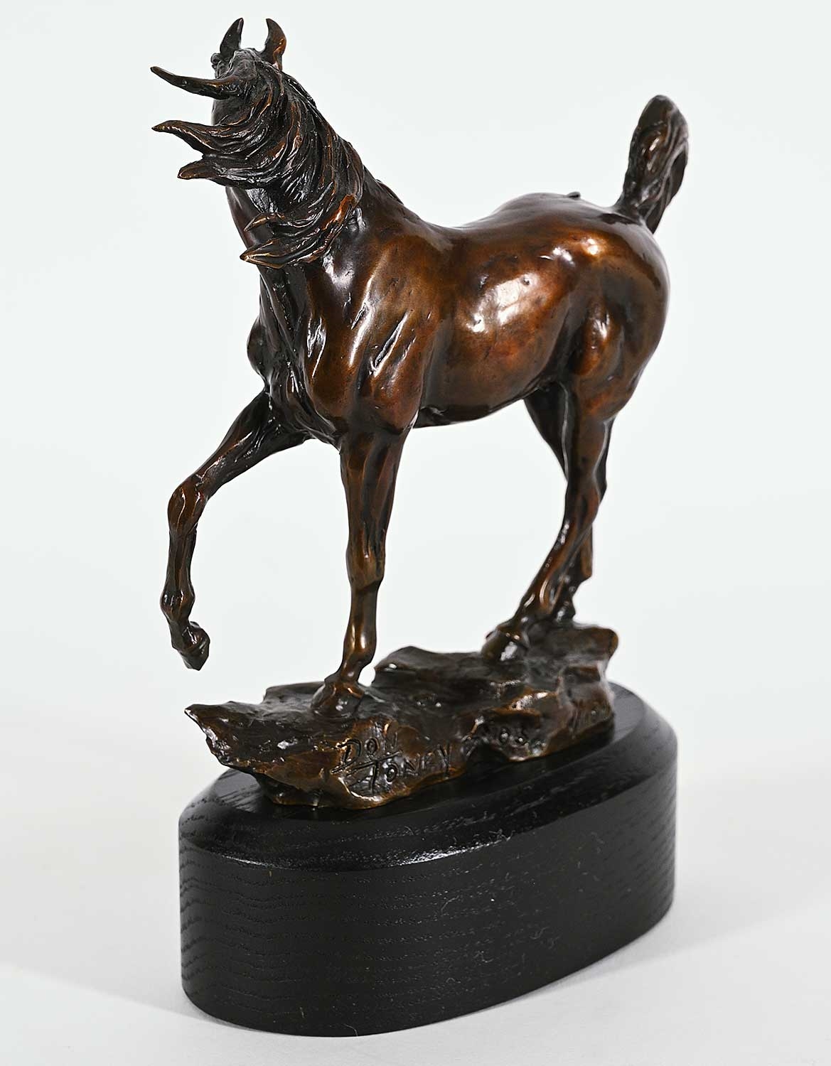 Don Toney | The Wind Calls My Name #1/100 (2003) | MutualArt