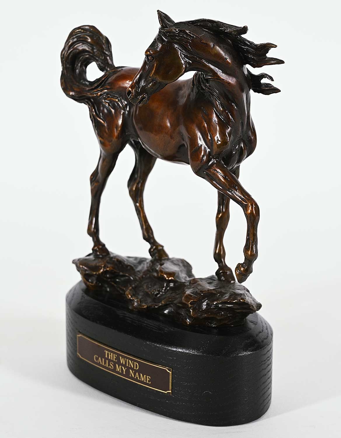 Don Toney | The Wind Calls My Name #1/100 (2003) | MutualArt