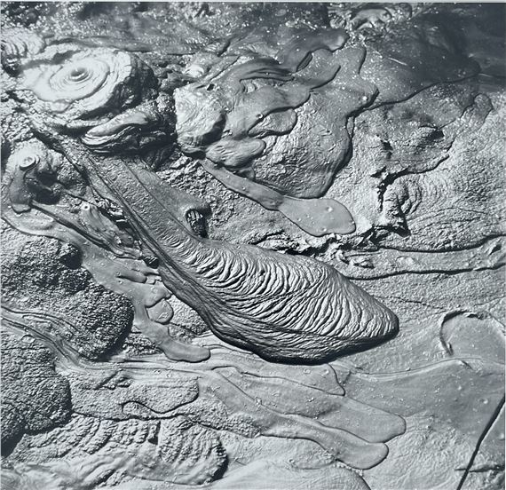 Theo Schoon | Koru Study | MutualArt