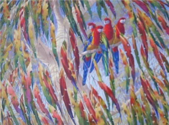 Harry Pidgeon | Parrots | MutualArt