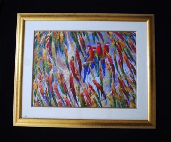 Harry Pidgeon | Parrots | MutualArt