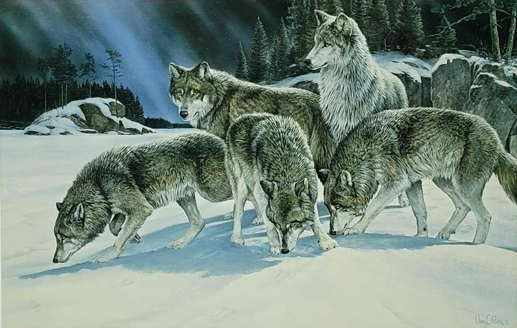 Ron Van Gilder | Night Trackers - Timberwolves | MutualArt