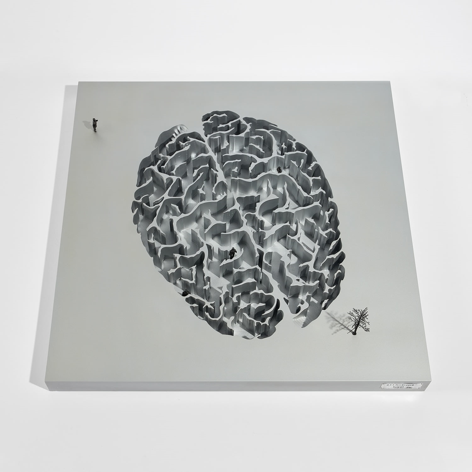 Yoan Capote | Open Mind (2009) | MutualArt