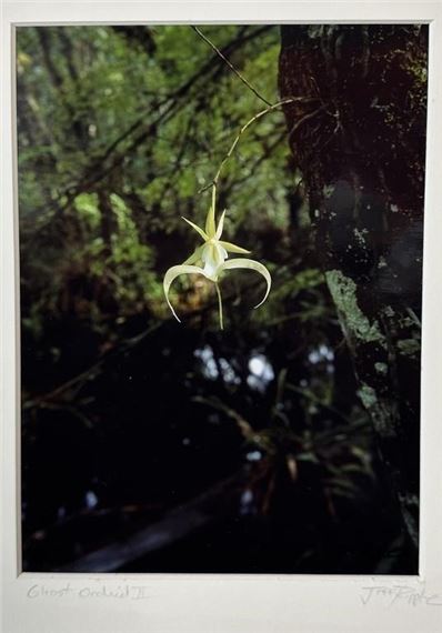 Jeff Ripple | Biography