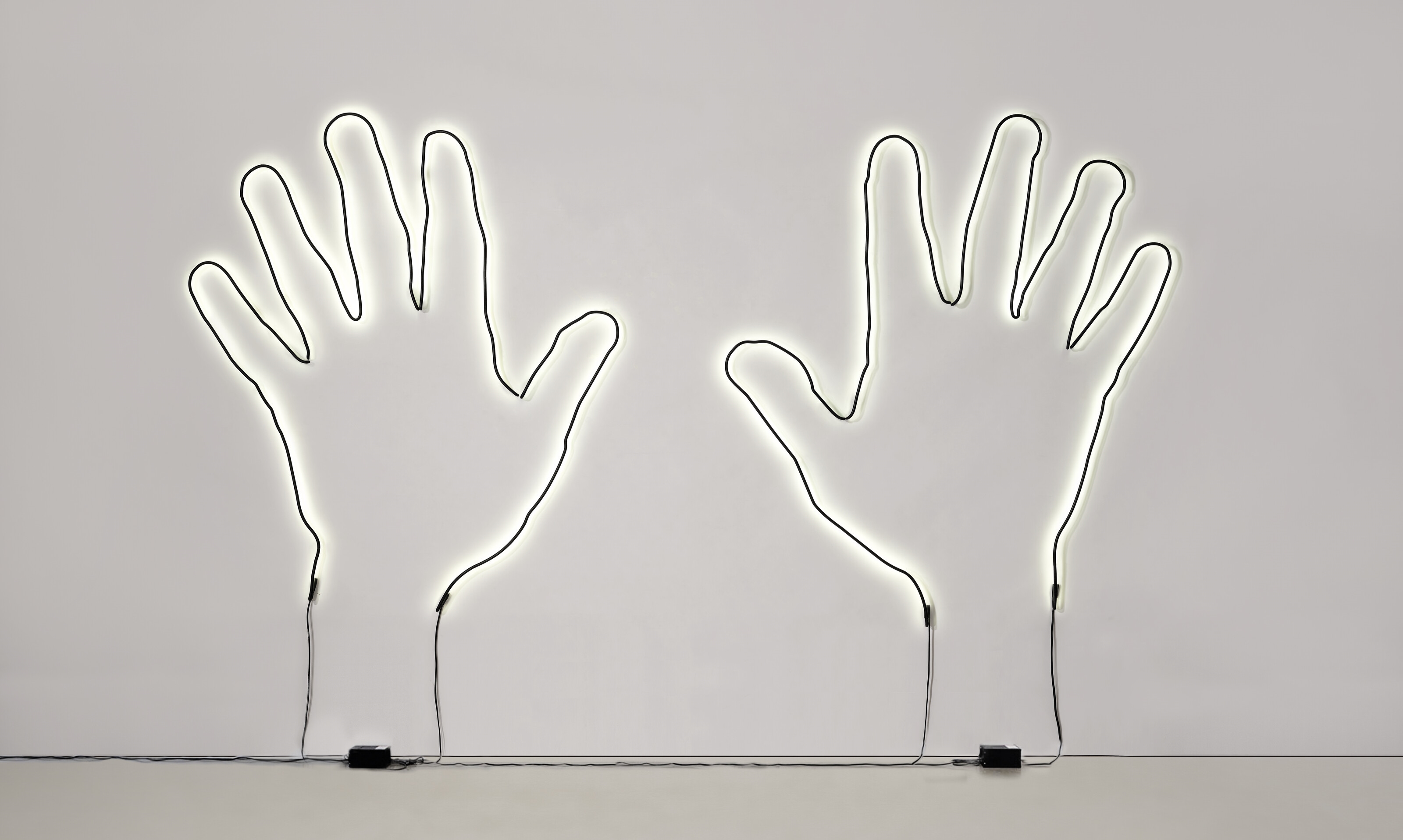 Glenn Ligon | Notes for a Poem on the Third World (chapter one | MutualArt