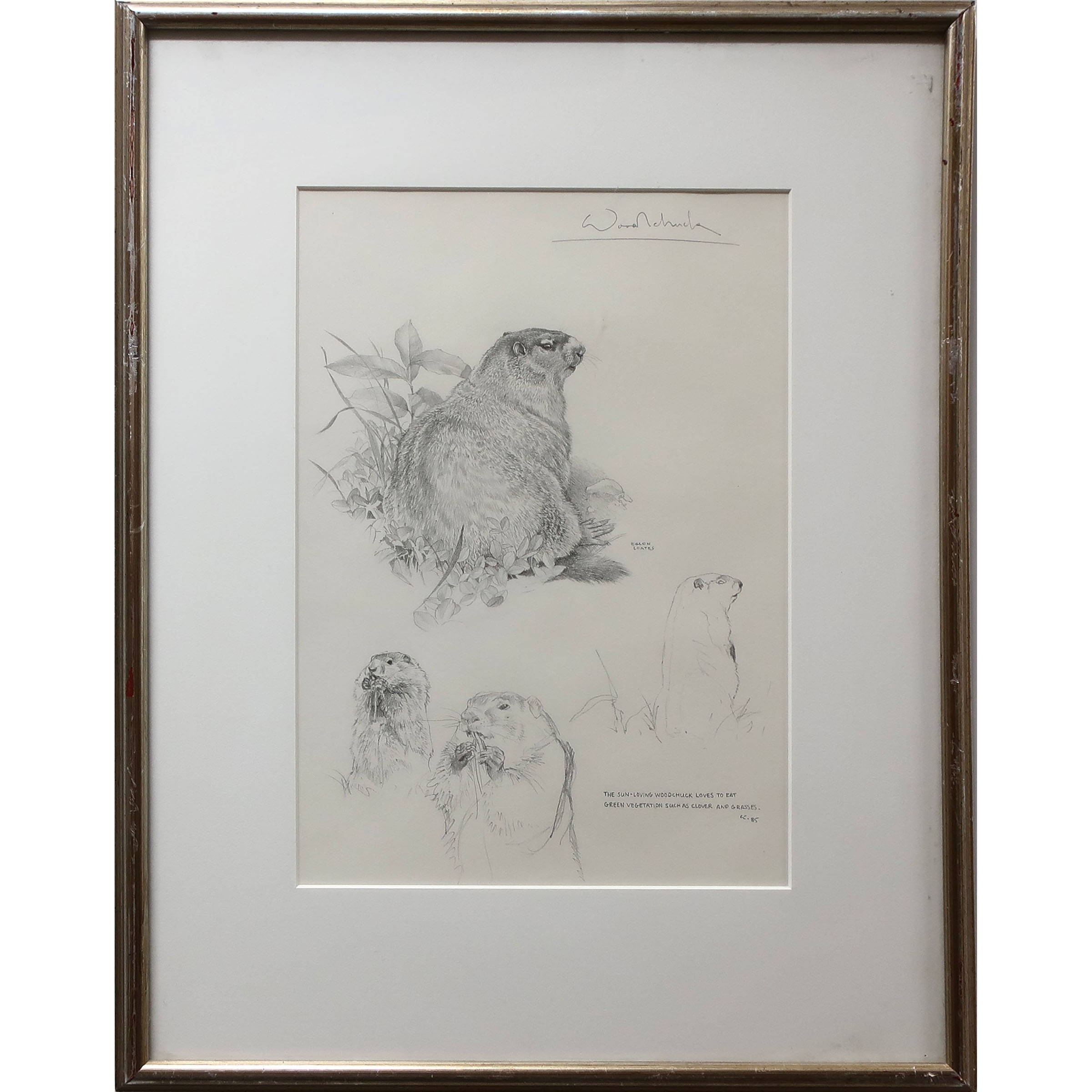 Glen Loates | WOODCHUCK (1985) | MutualArt