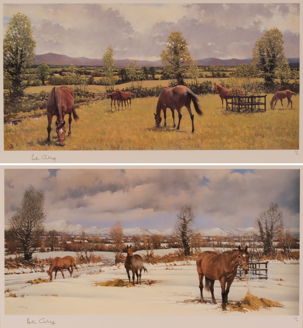 Peter Curling | LUSH SUMMER & WINTER RATIONS (The Same Field, in Summer ...