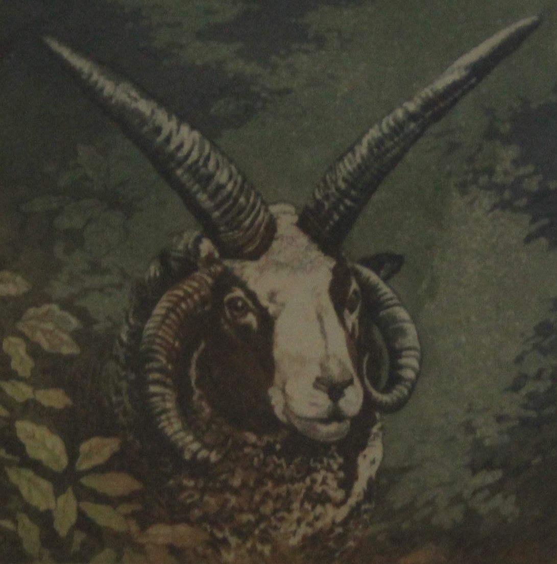 Sarah Young | C is for Coracle | MutualArt