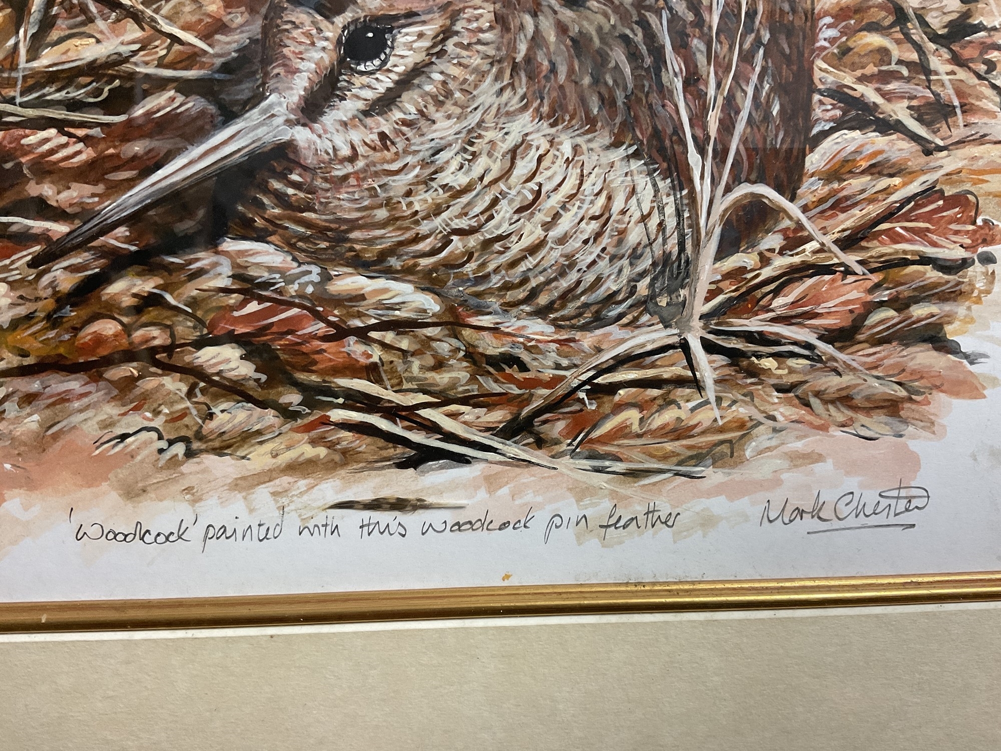 Mark Chester | Woodcock | MutualArt