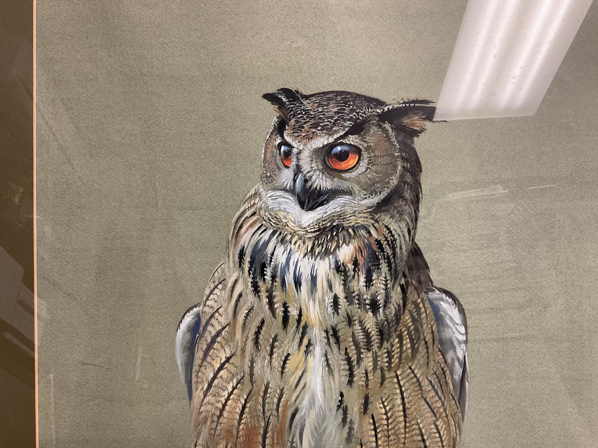 Kenneth Smith | large owl study | MutualArt