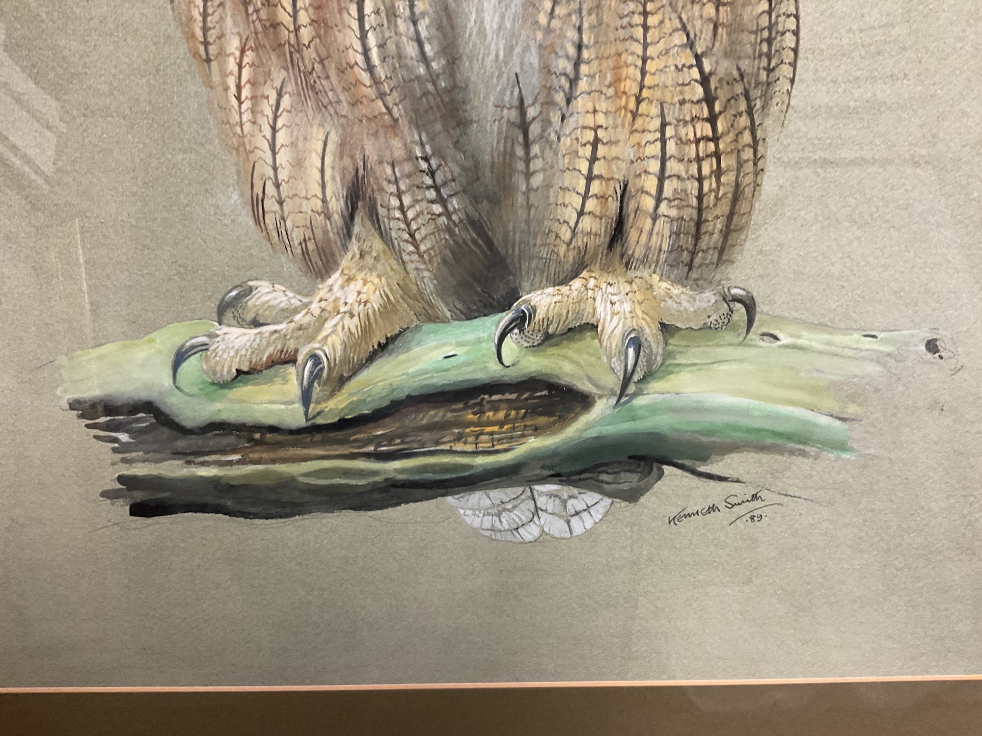 Kenneth Smith | large owl study | MutualArt