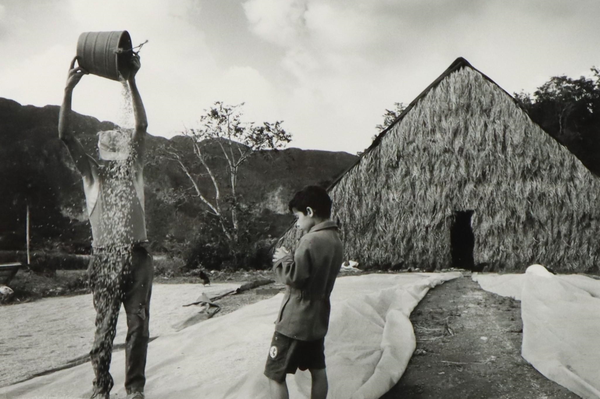 Susan S. Bank | Julioto Sifting Rice from photographer's Cuba: Campo ...