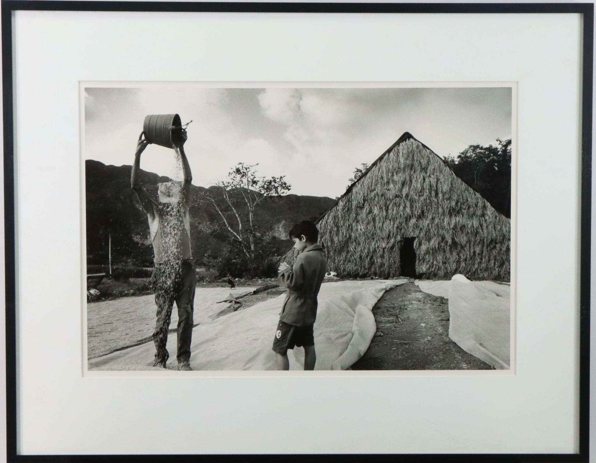 Susan S. Bank | Julioto Sifting Rice from photographer's Cuba: Campo ...
