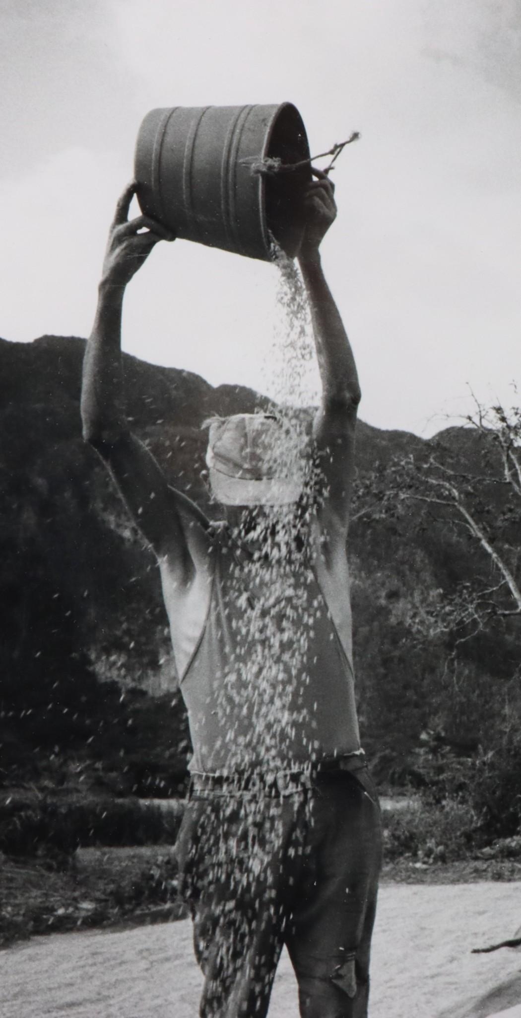 Susan S. Bank | Julioto Sifting Rice from photographer's Cuba: Campo ...