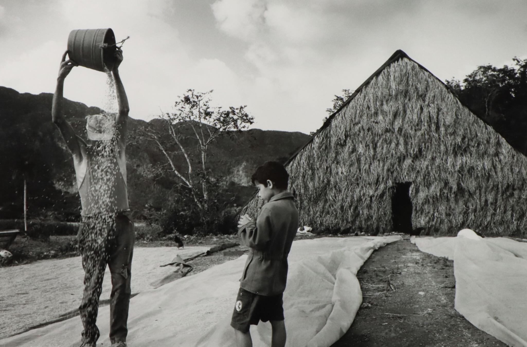 Susan S. Bank | Julioto Sifting Rice from photographer's Cuba: Campo ...