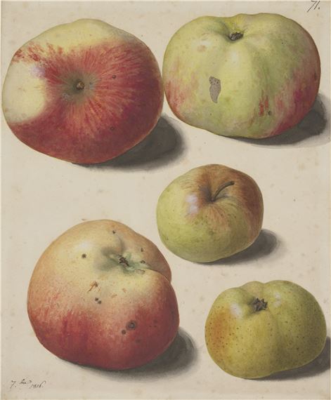 French School, 19th Century | Étude de pommes (1816) | MutualArt