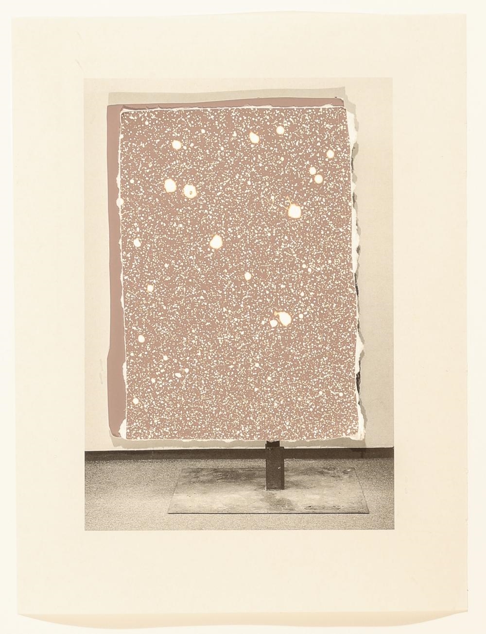 Curtis Mann | Paper Fragment (2012) | MutualArt