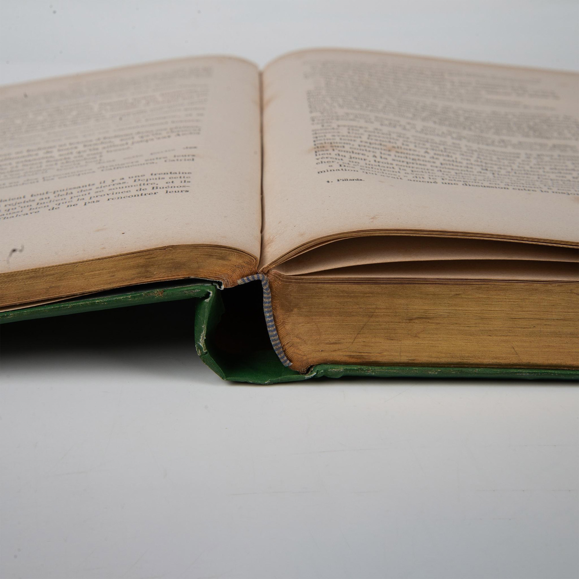 Edouard Riou | Jules Verne, Capitaine Grant, A La Banniere, Green ...