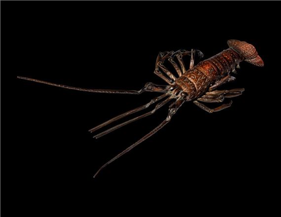 Japanese School | A Japanese Articulated Copper Model of a Crayfish ...