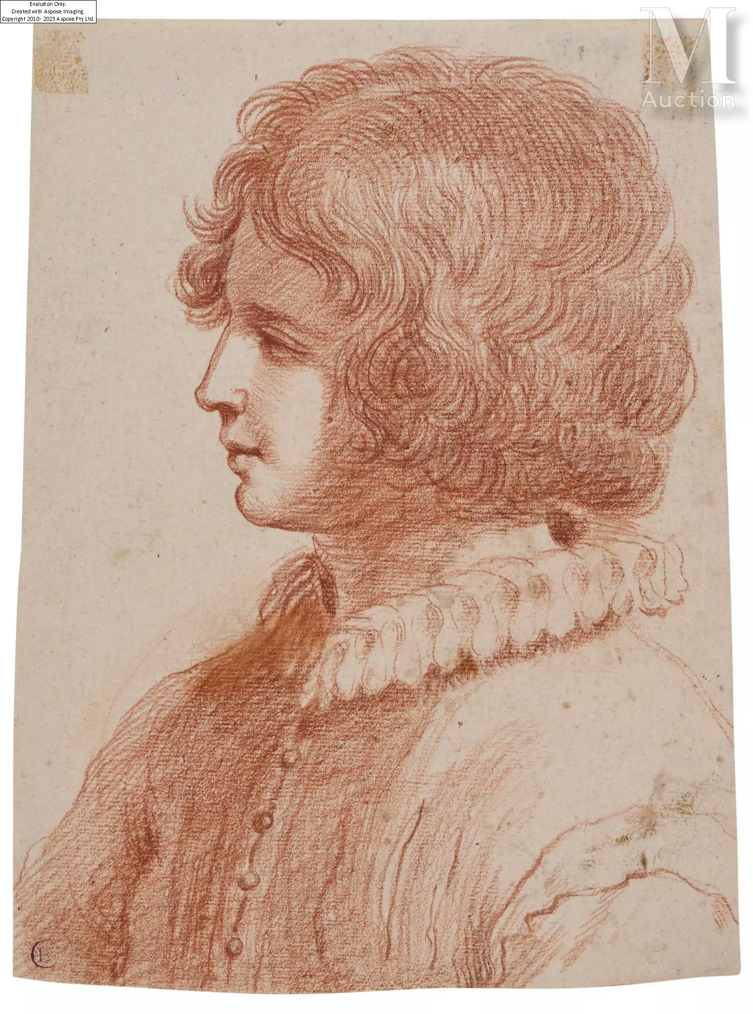 Il Guercino | Portrait de jeune homme en buste tourné vers la gauche ...