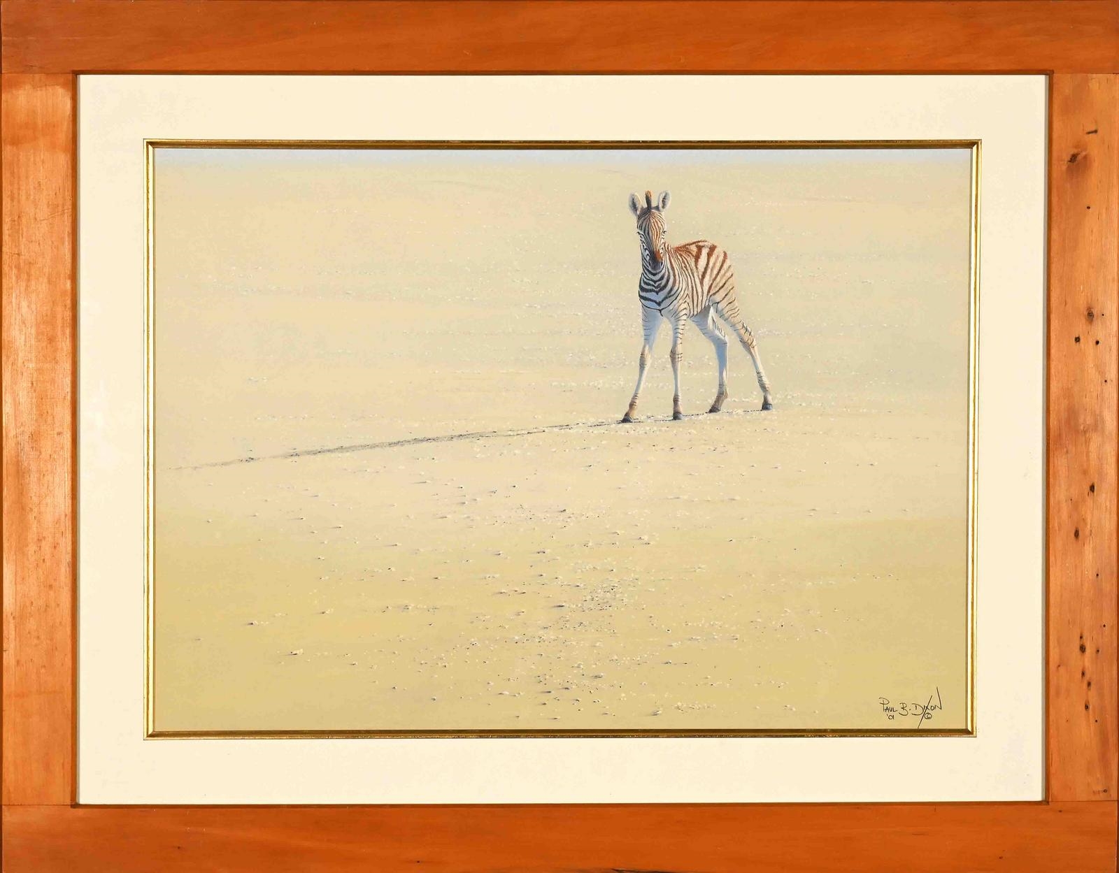 Paul B. Dixon | Zebra Foal (2001) | MutualArt