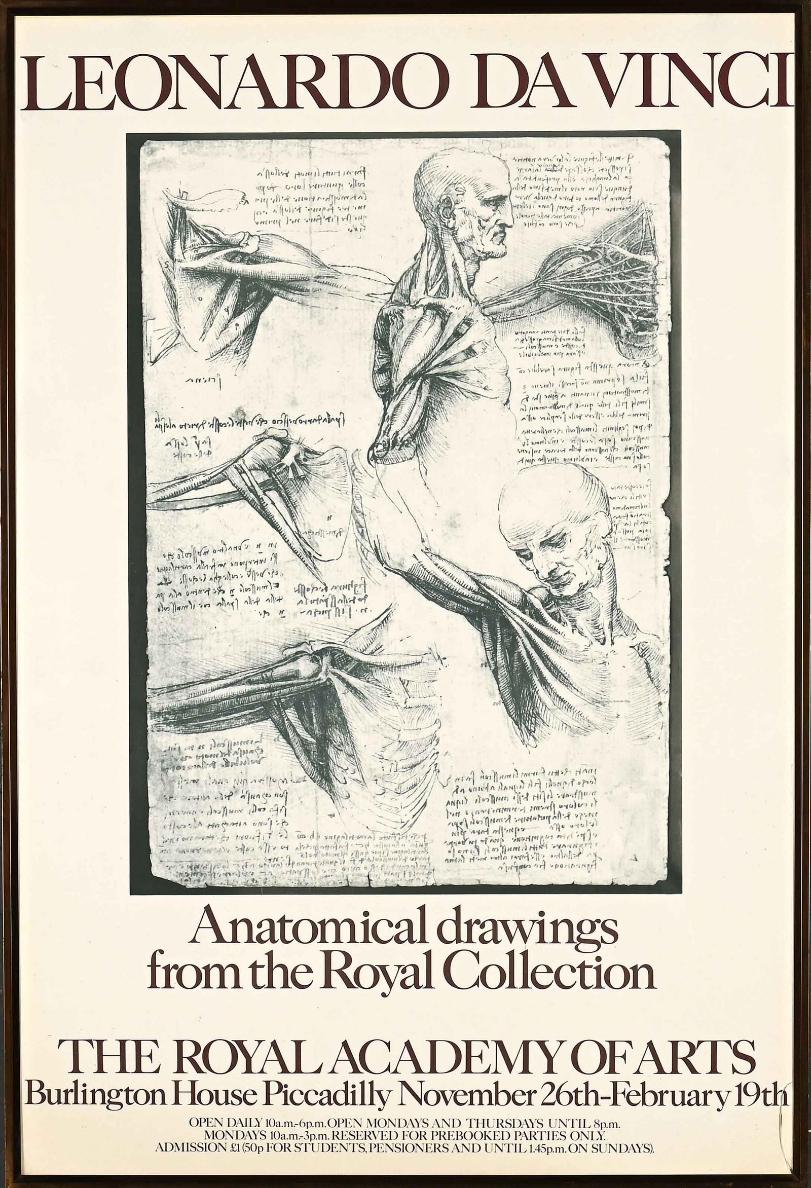 Leonardo da Vinci | Leonardo da Vinci: Anatomical Drawings from the ...