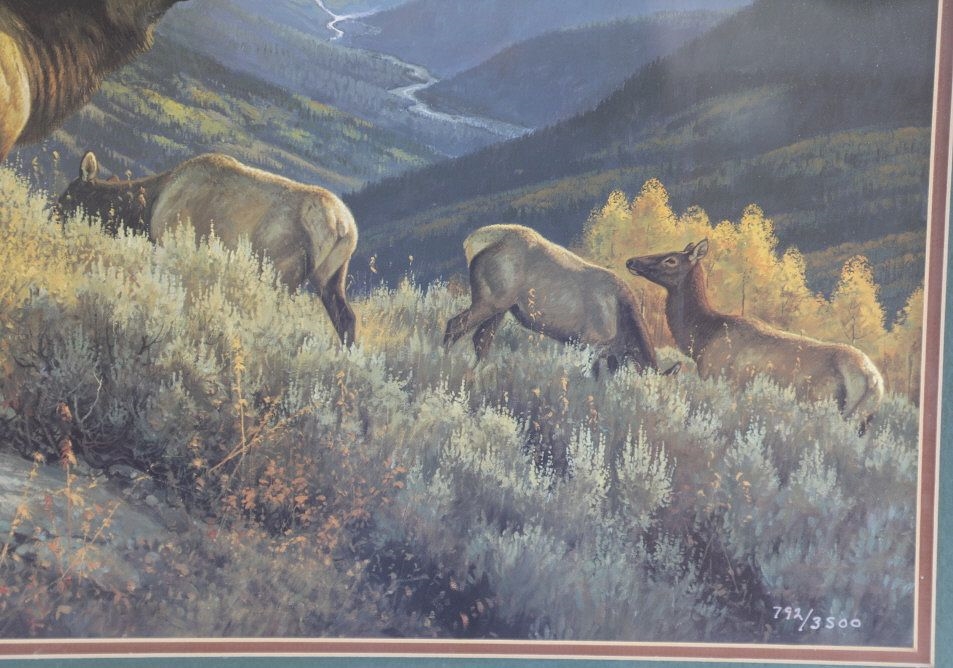 Hayden Lambson | Vista (1992) | MutualArt