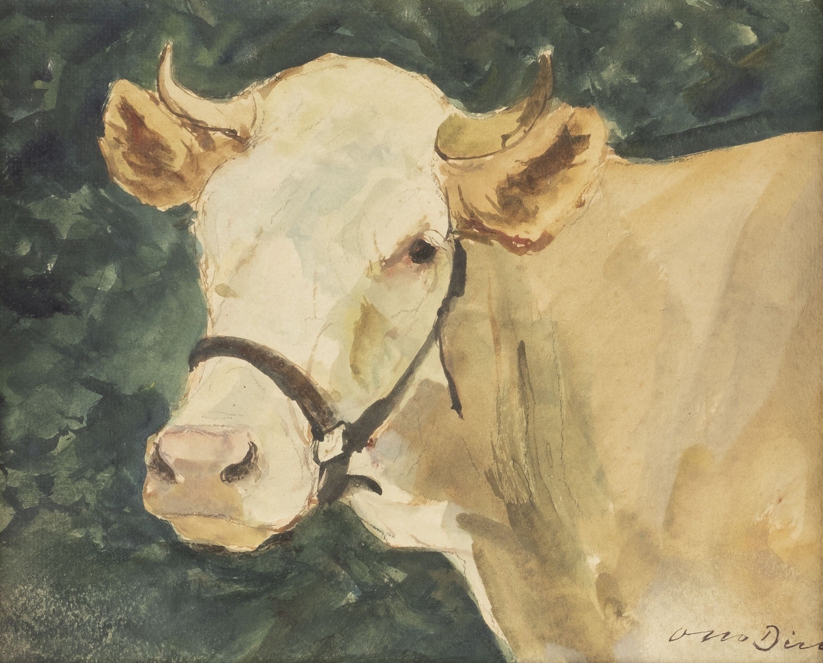 Otto Dill | PORTRAIT OF A COW | MutualArt
