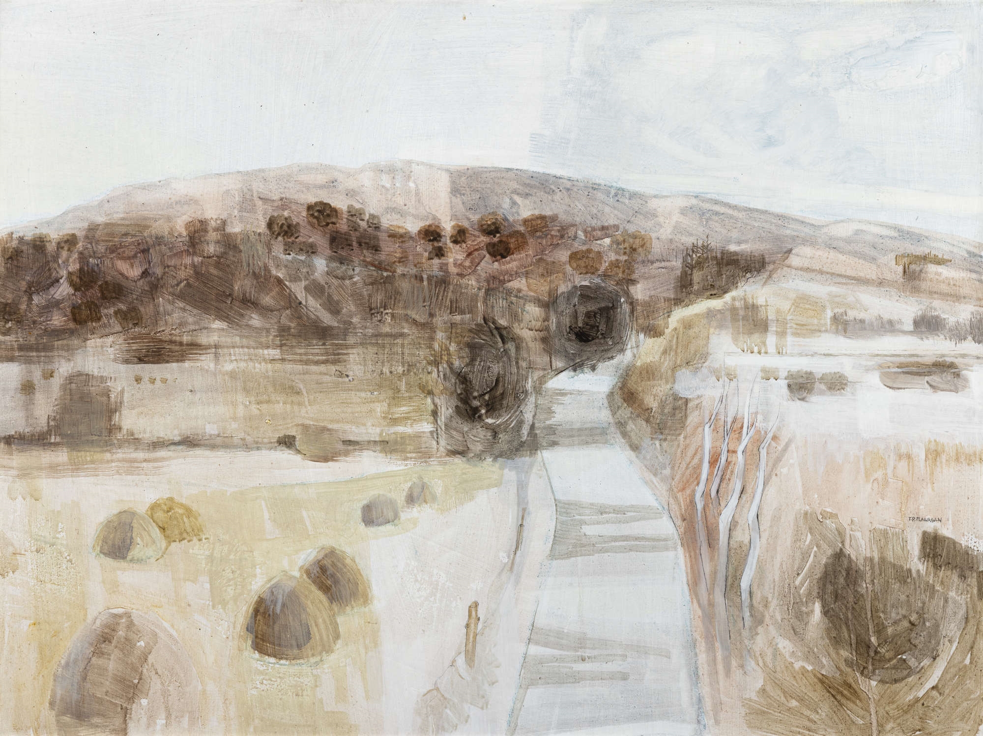 Terence Philip Flanagan | Lough Navar, Co Fermanagh | MutualArt