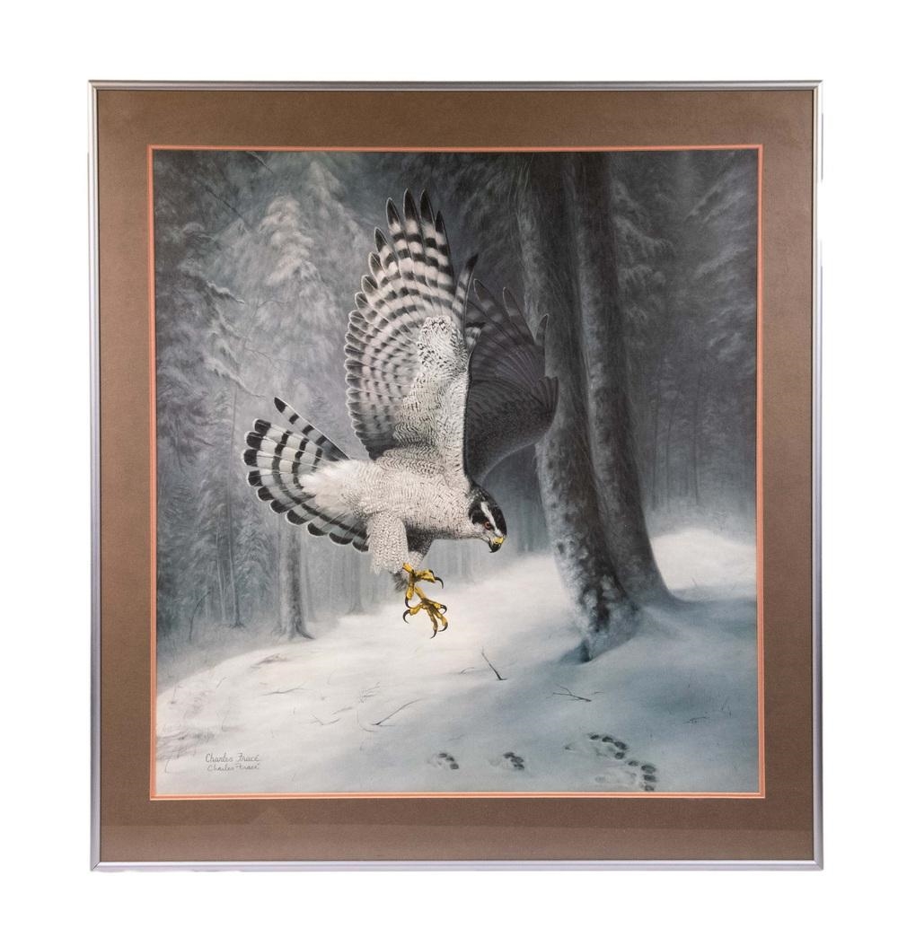 Charles Frace | Northern Goshawk | MutualArt