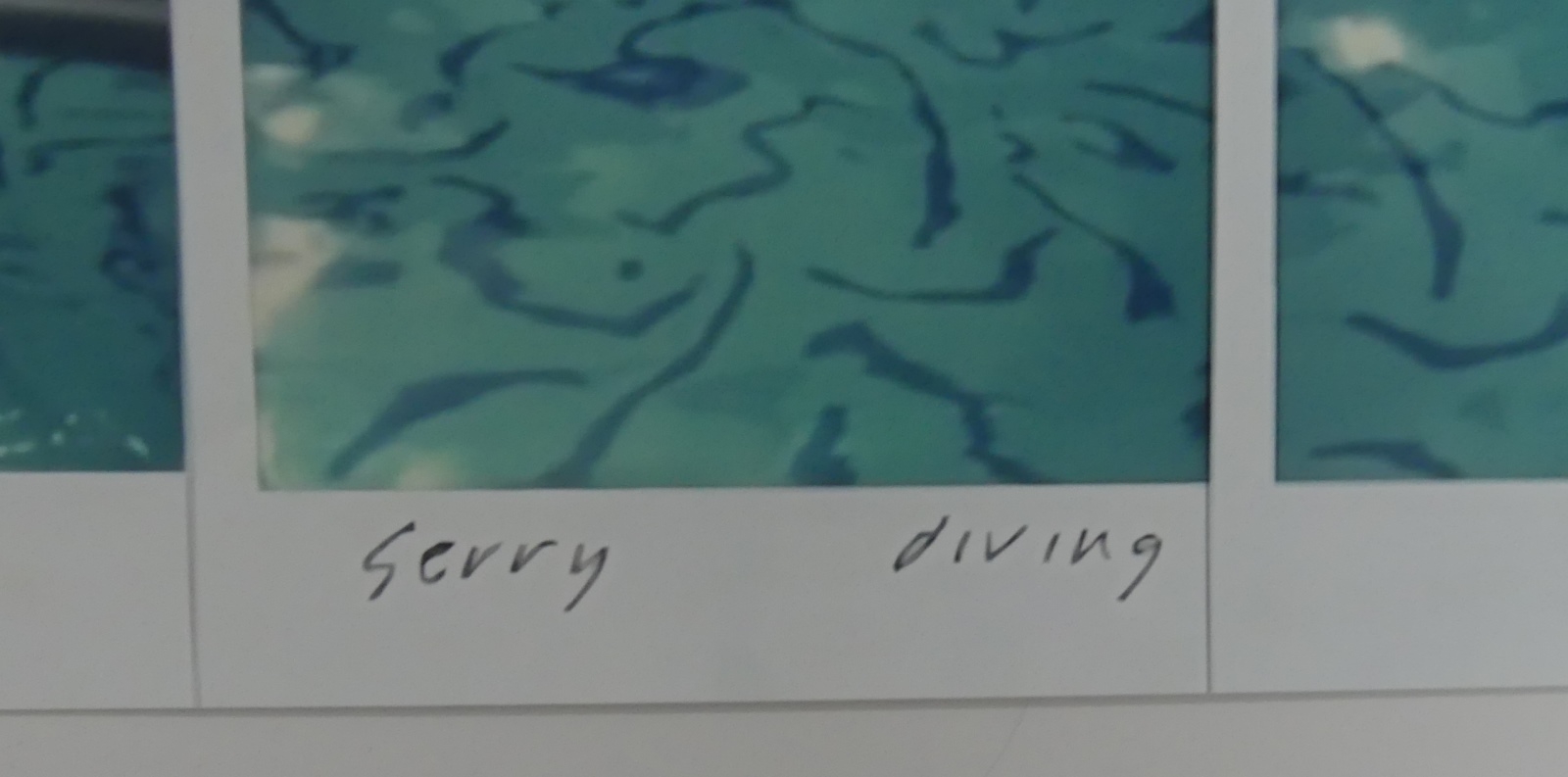 David Hockney | JERRY DIVING (1982) | MutualArt