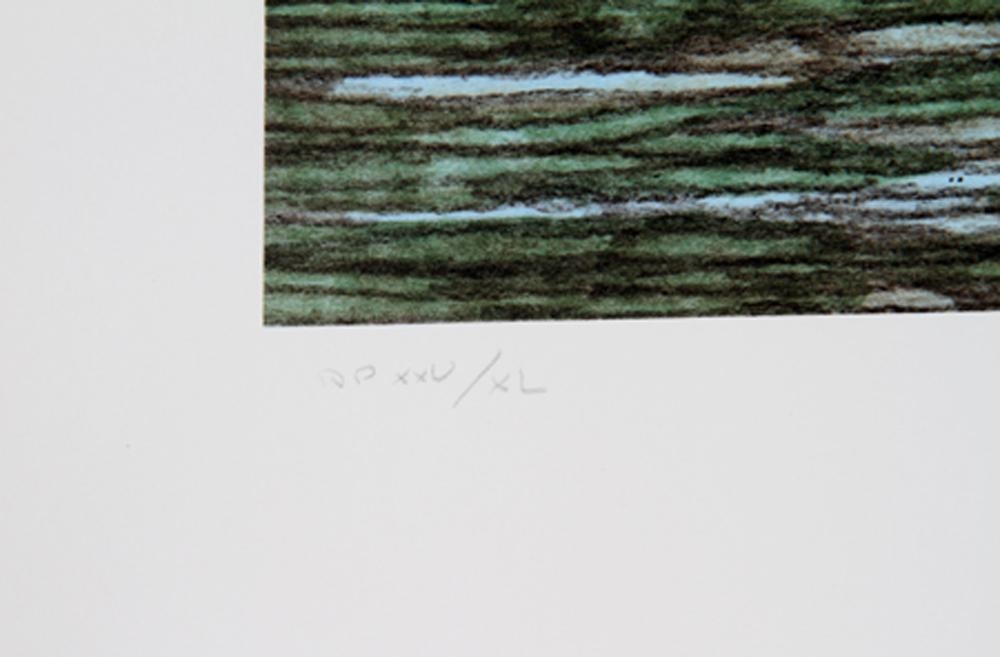 Chris Forrest | WILD GEESE (Circa 1979) | MutualArt