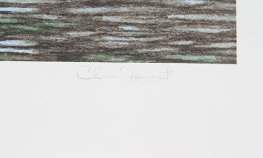 Chris Forrest | WILD GEESE (Circa 1979) | MutualArt