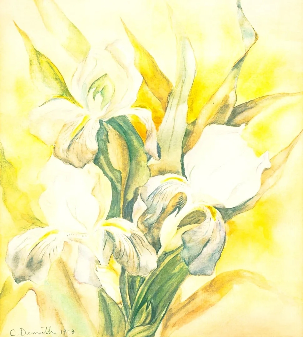 Charles Demuth | Zinnias: A Double-Sided Work (1920) | MutualArt