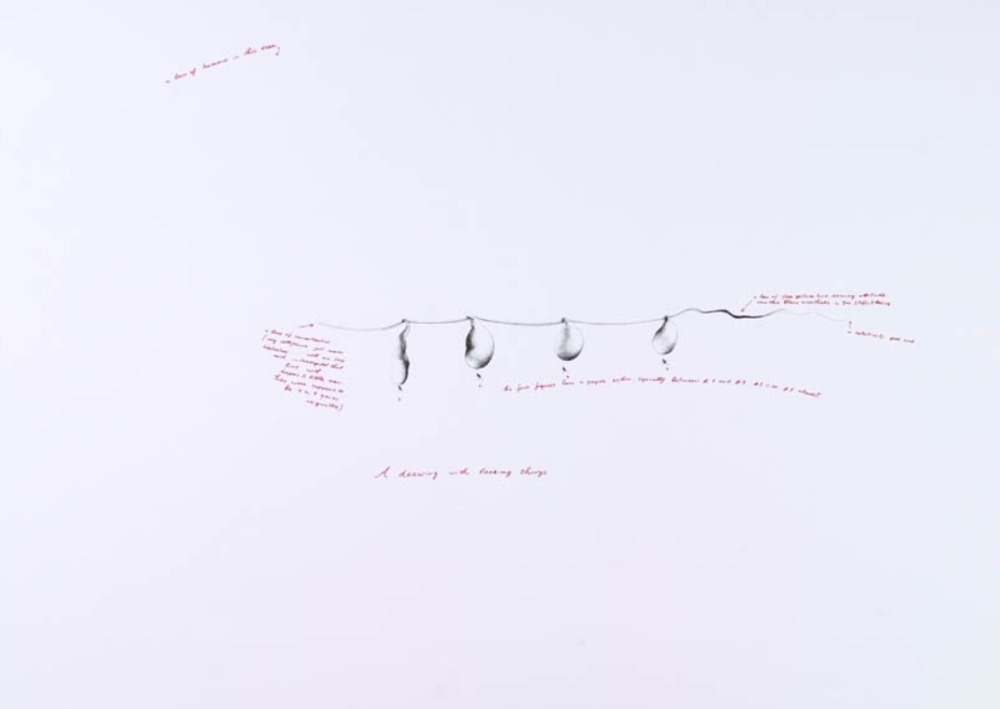 Nedko Solakov | A drawing with lacking things (2004) | MutualArt