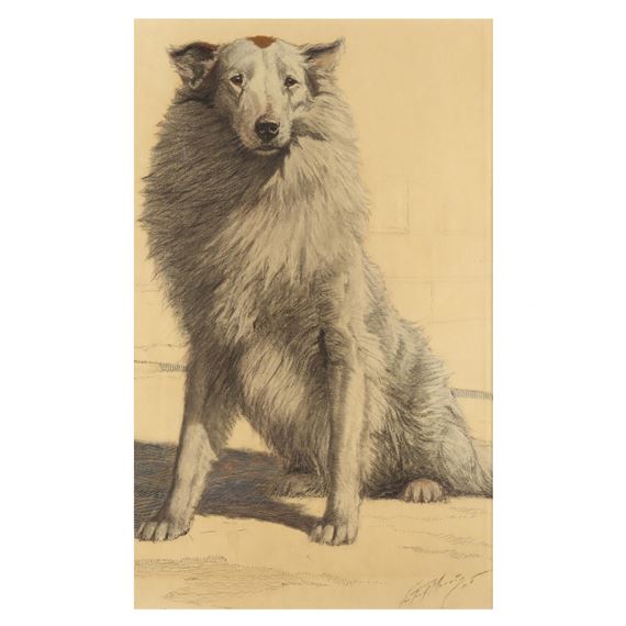 George Ford Morris | Collie (1935) | MutualArt