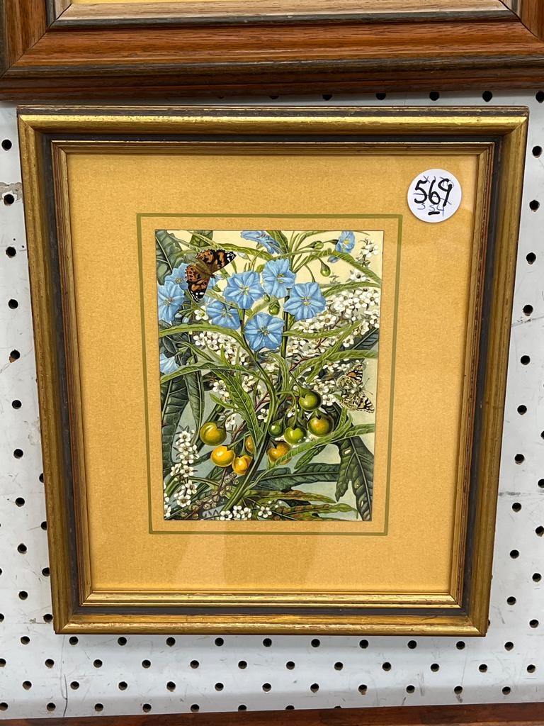 Louisa Anne Meredith | KANGAROO APPLE | MutualArt