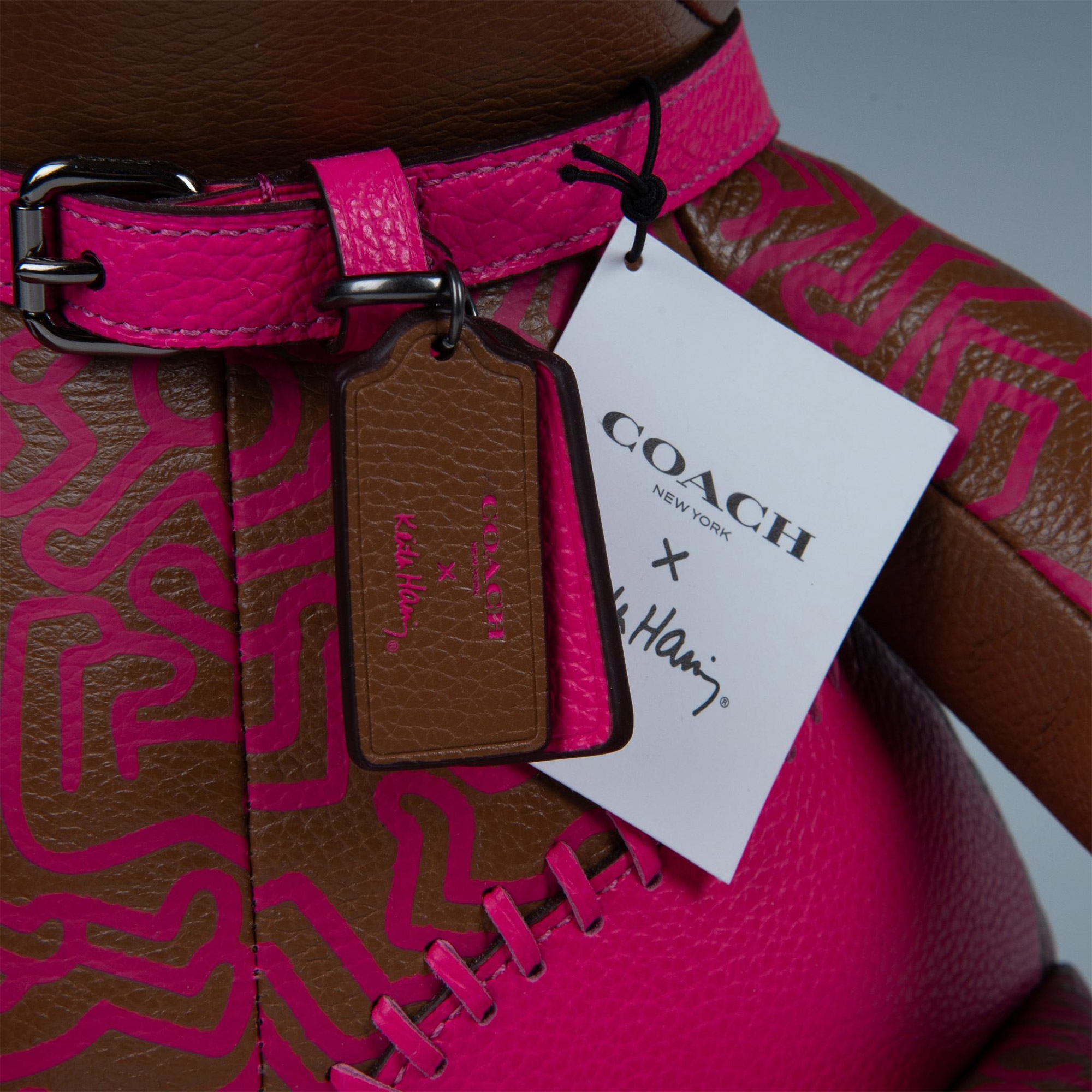 Keith Haring | Coach Keith Haring Collaboration Plush Leather Teddy ...