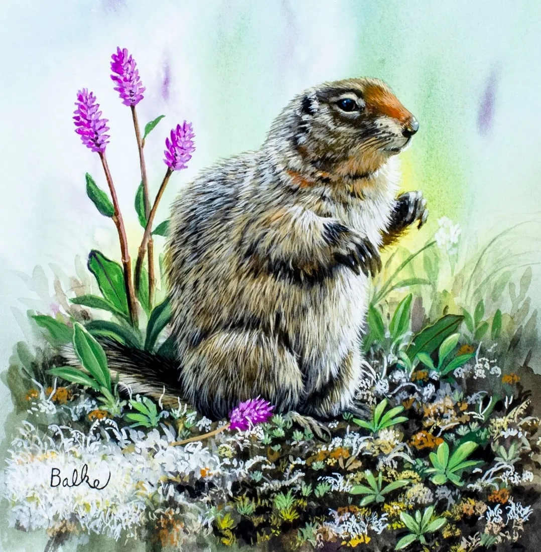 Don Balke | Ground Squirrel (2003) | MutualArt