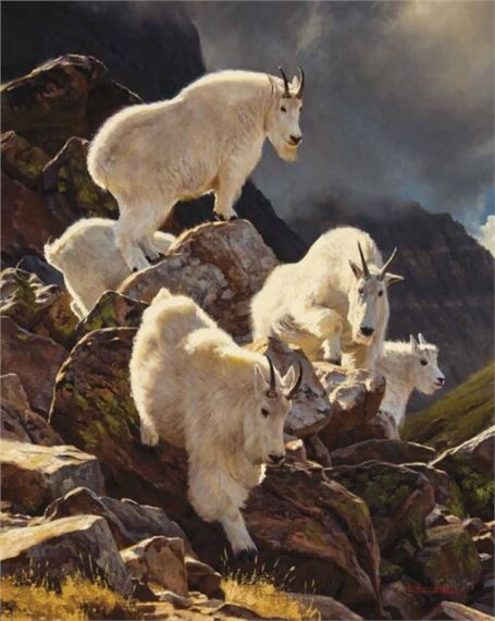 Dustin Van Wechel | Boulder Hopping | MutualArt