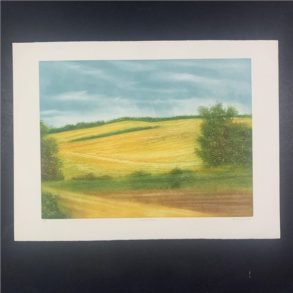 Darrell Duchene | 8 Artworks | MutualArt