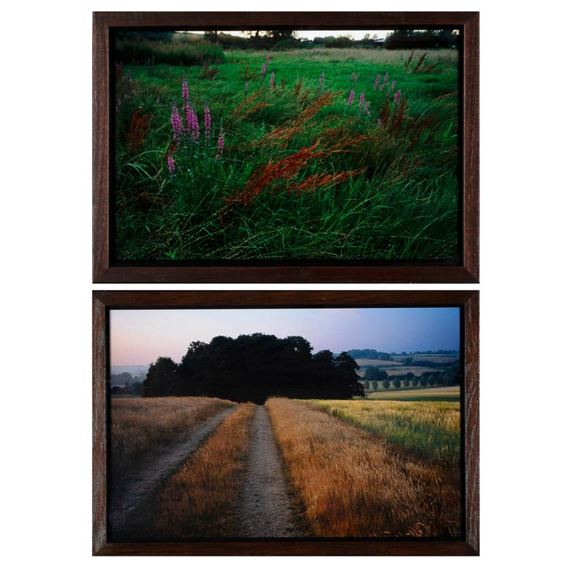 Justin Partyka | Pair of Photographs (2013) | MutualArt