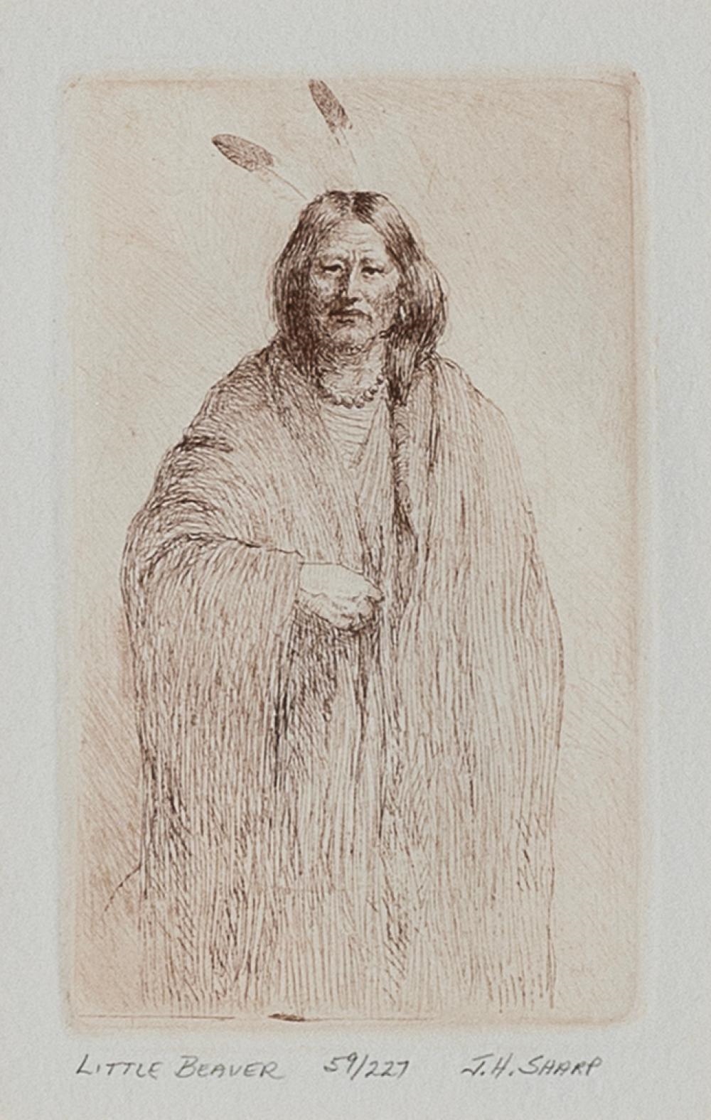 Joseph Henry Sharp | Portrait of an Indian | MutualArt