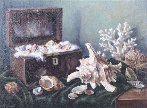 Constance Cooper | Shells | MutualArt
