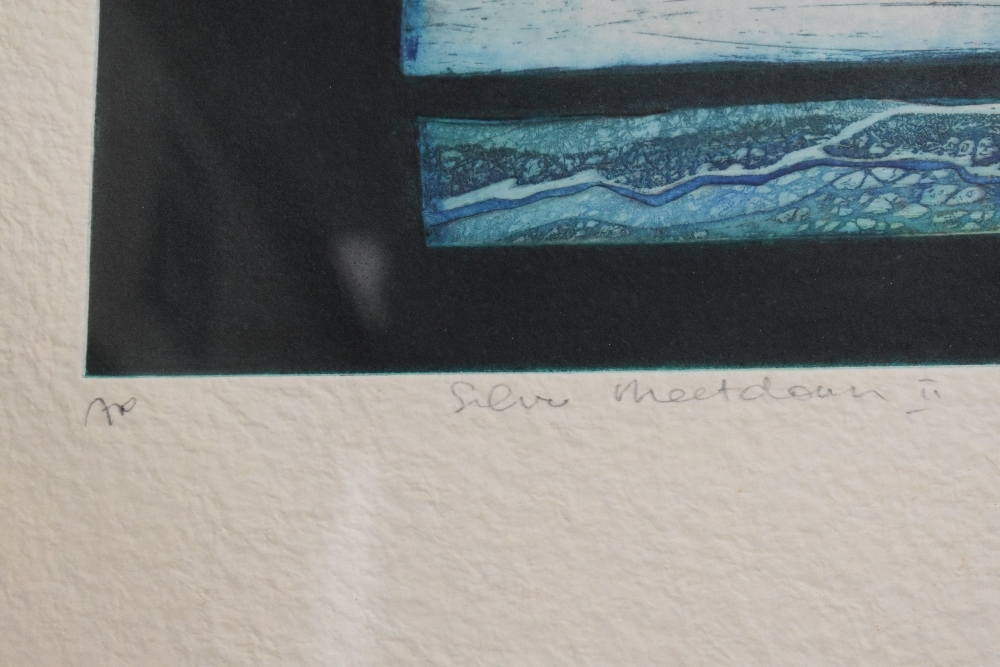 Brenda Hartill | Silver Meltdown II | MutualArt