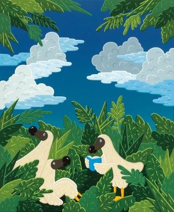Kim Sunwoo | Reading of Dodos (2021) | MutualArt