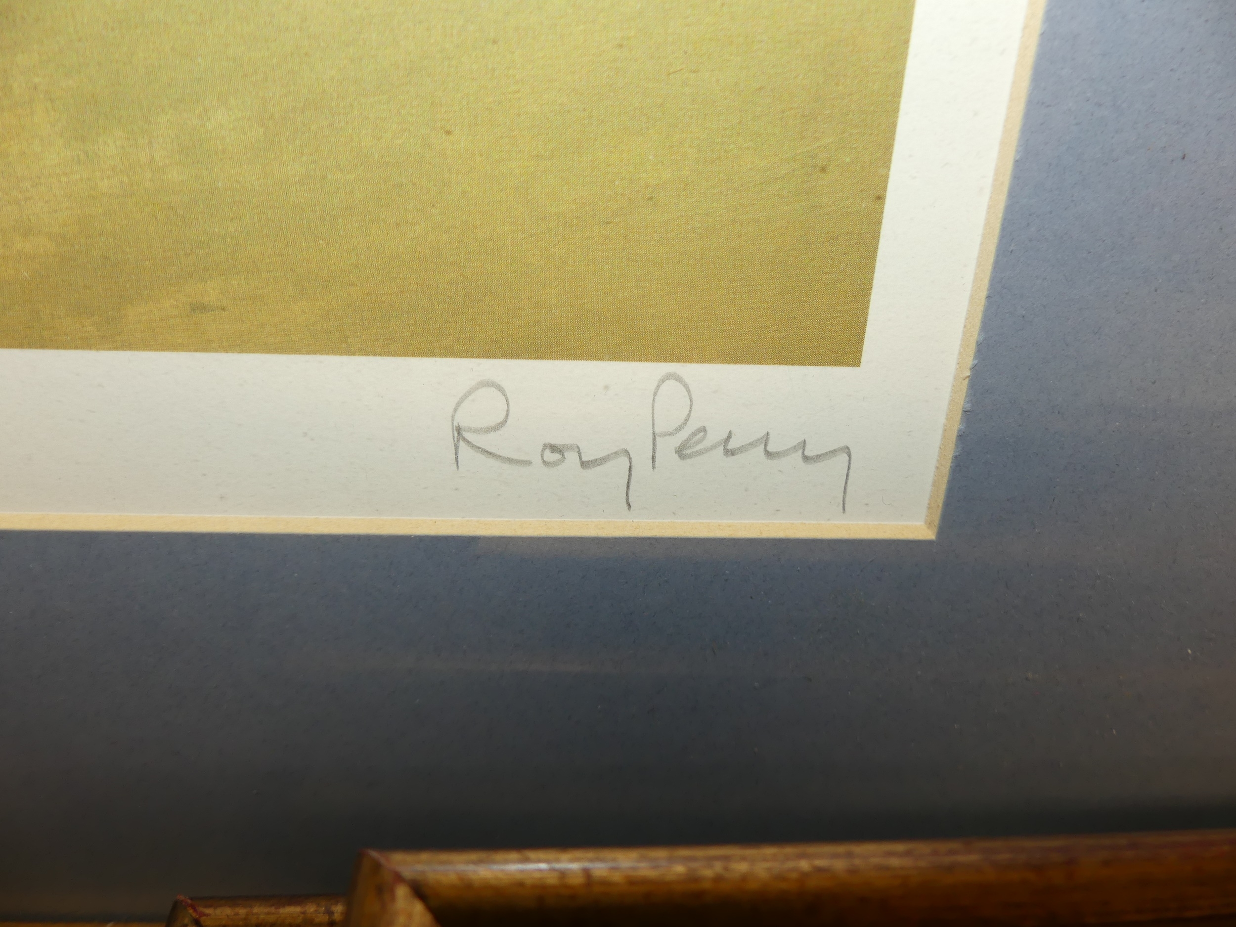 Roy Perry | The University Ground at Durham | MutualArt